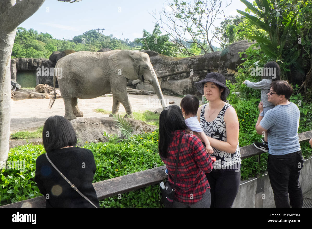 Taipei Zoo,zoo,animal,animals,Taipei,Taipei City,Taiwan,city,island ...