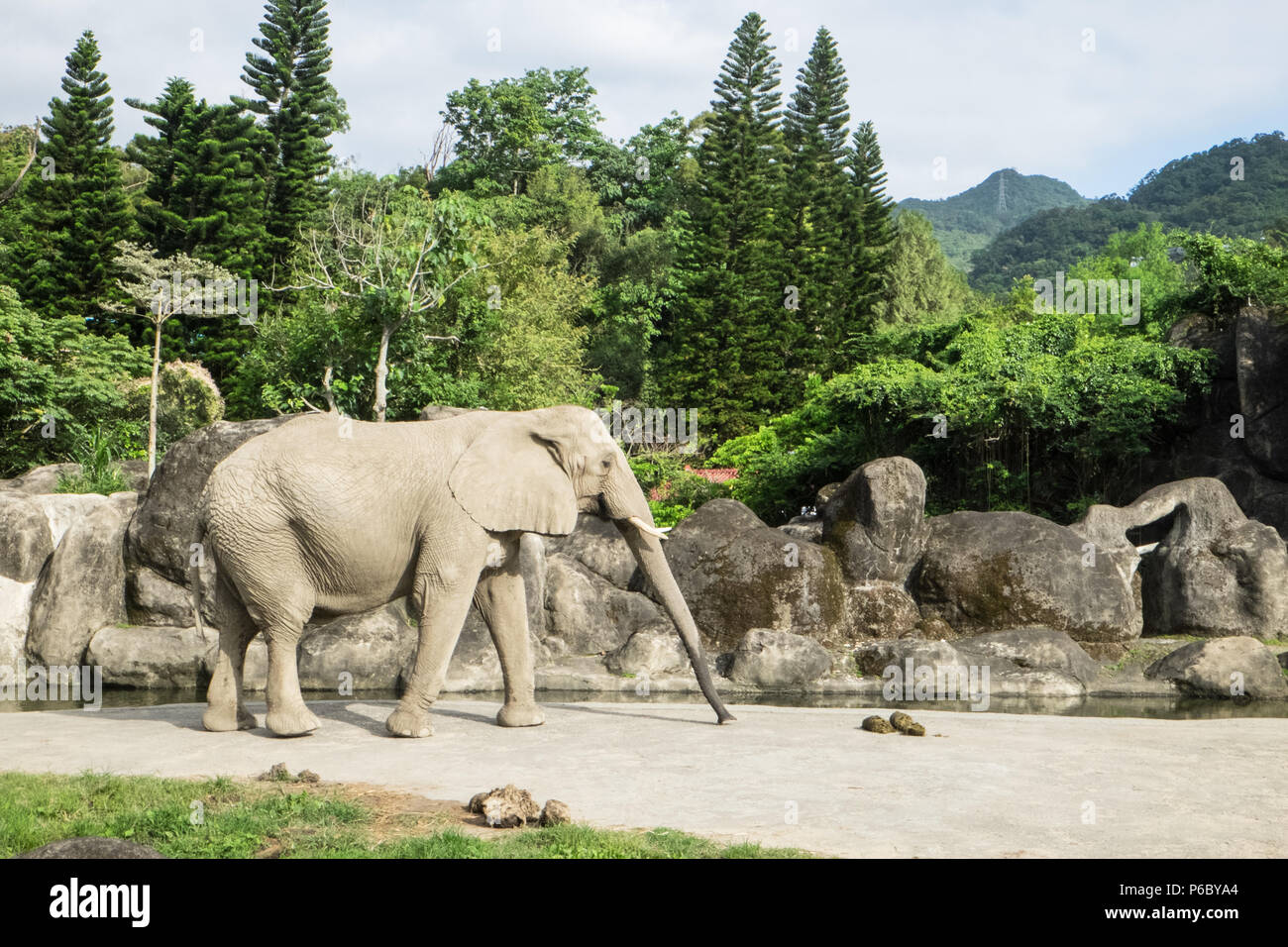 Taipei Zoo,zoo,animal,animals,Taipei,Taipei City,Taiwan,city,island ...