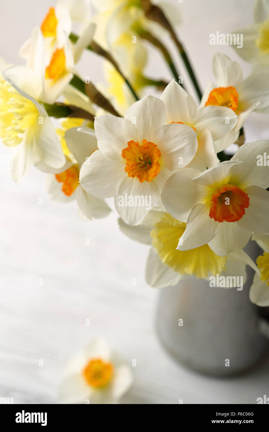 Spring flowers in jug, easter holiday Stock Photo - Alamy