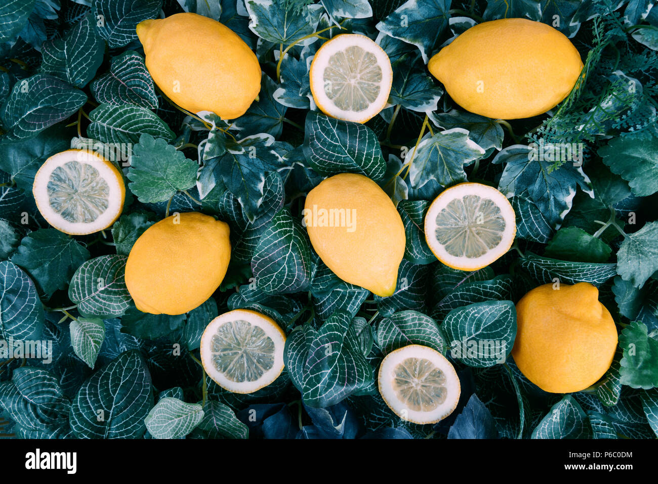 Citrus background. Assorted fresh lemon fruits with leaves Stock Photo ...