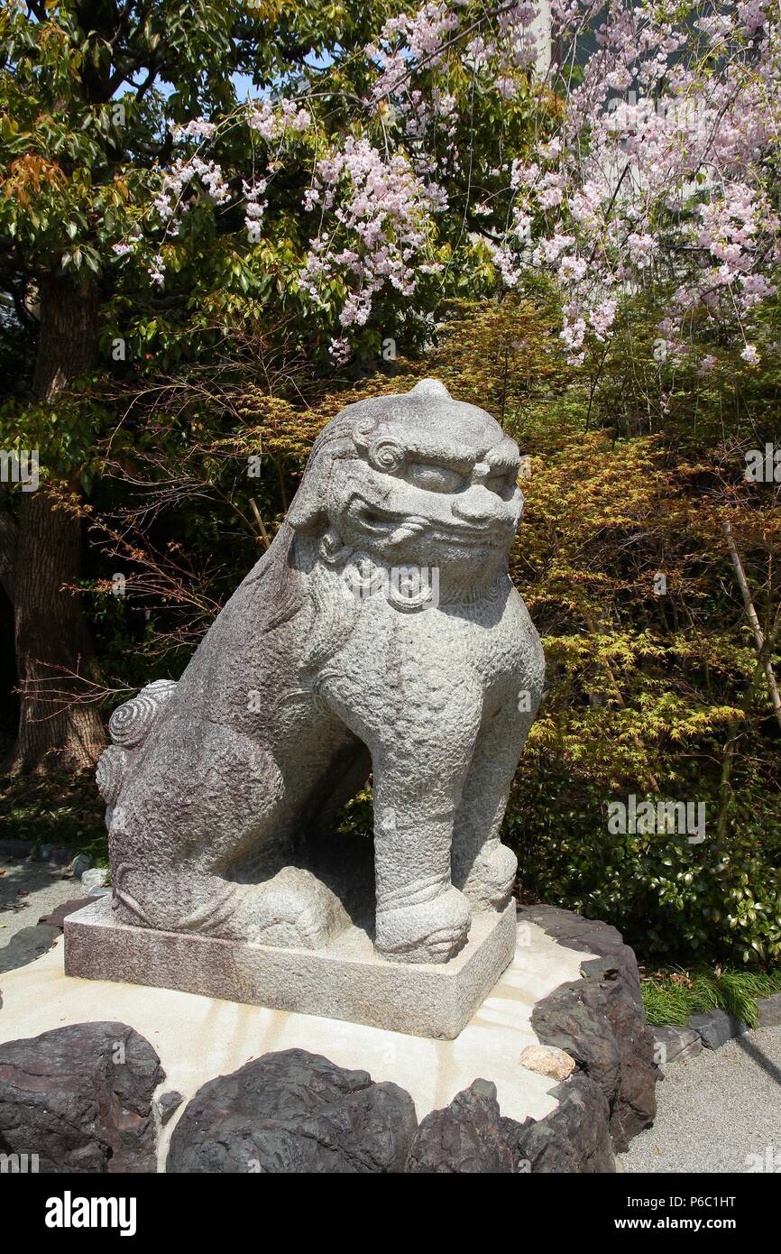 Komainu statue in Kyoto, Japan. The lion-dog statues are often ...