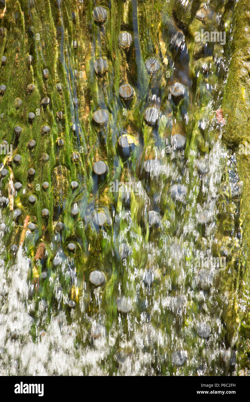 An elver pass alongside a weir above Fiddleford Mill near Sturminster ...