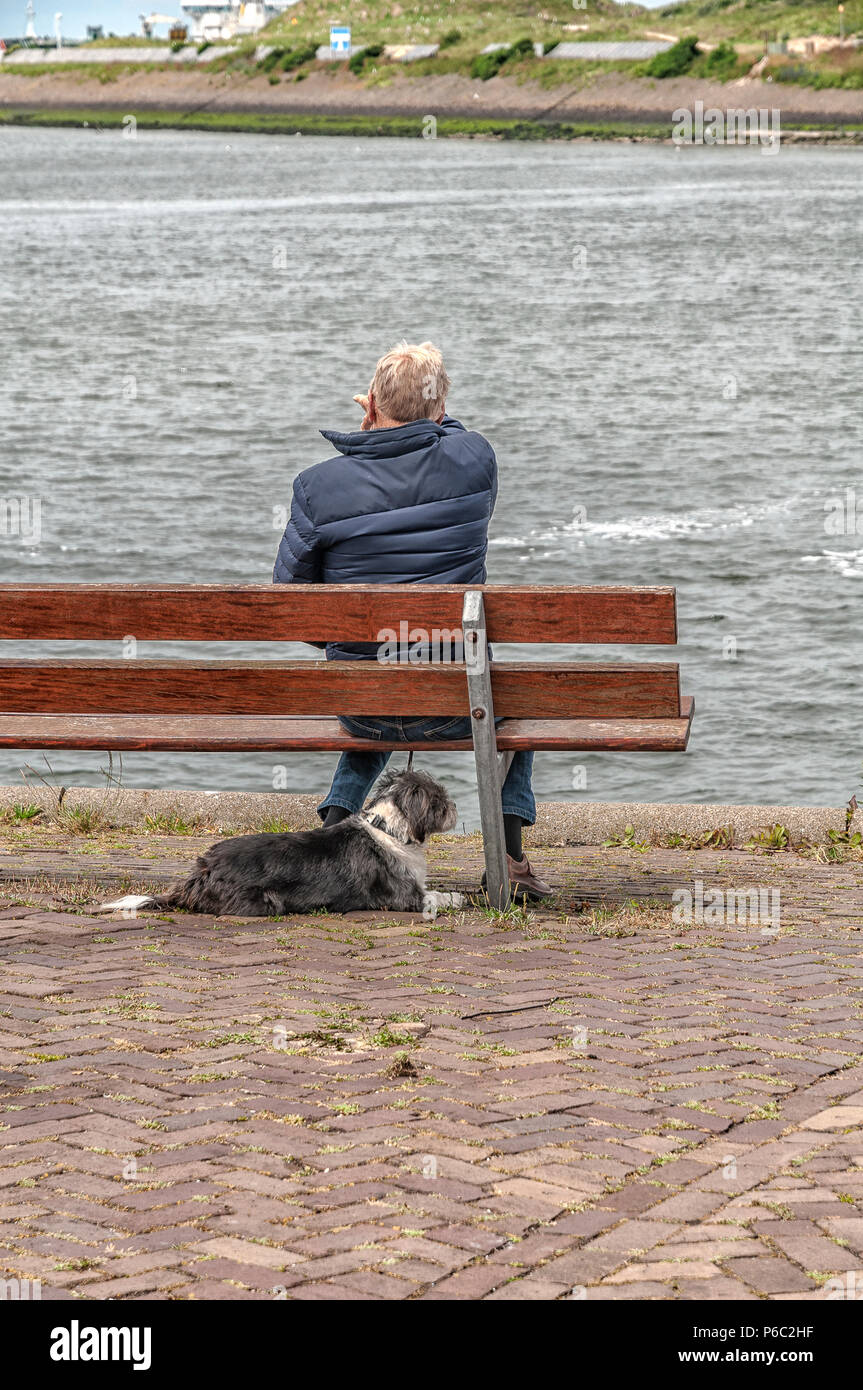 Back of man alone on park bench hi-res stock photography and images - Alamy