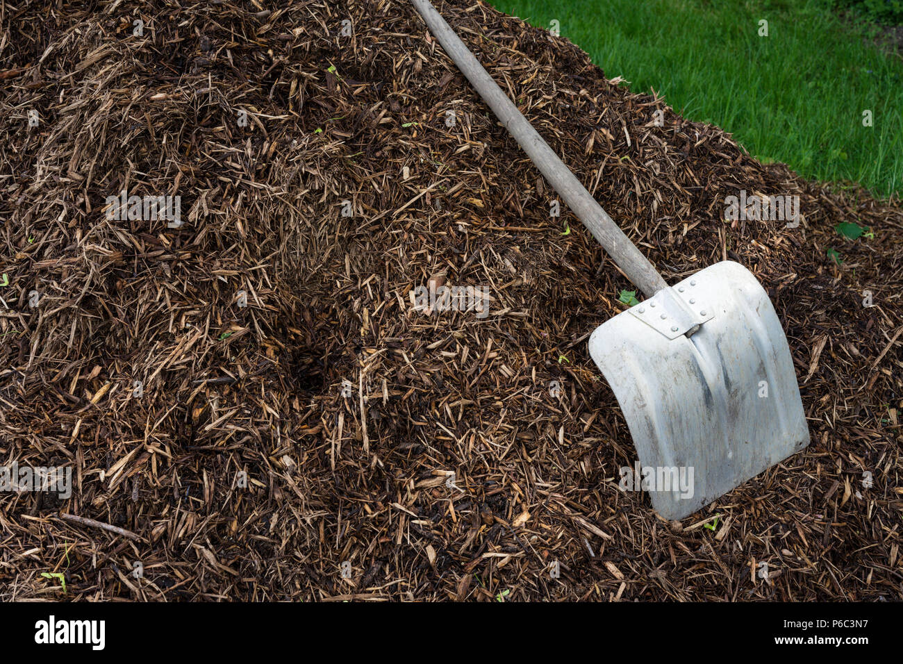Shovelor spade hi-res stock photography and images - Alamy