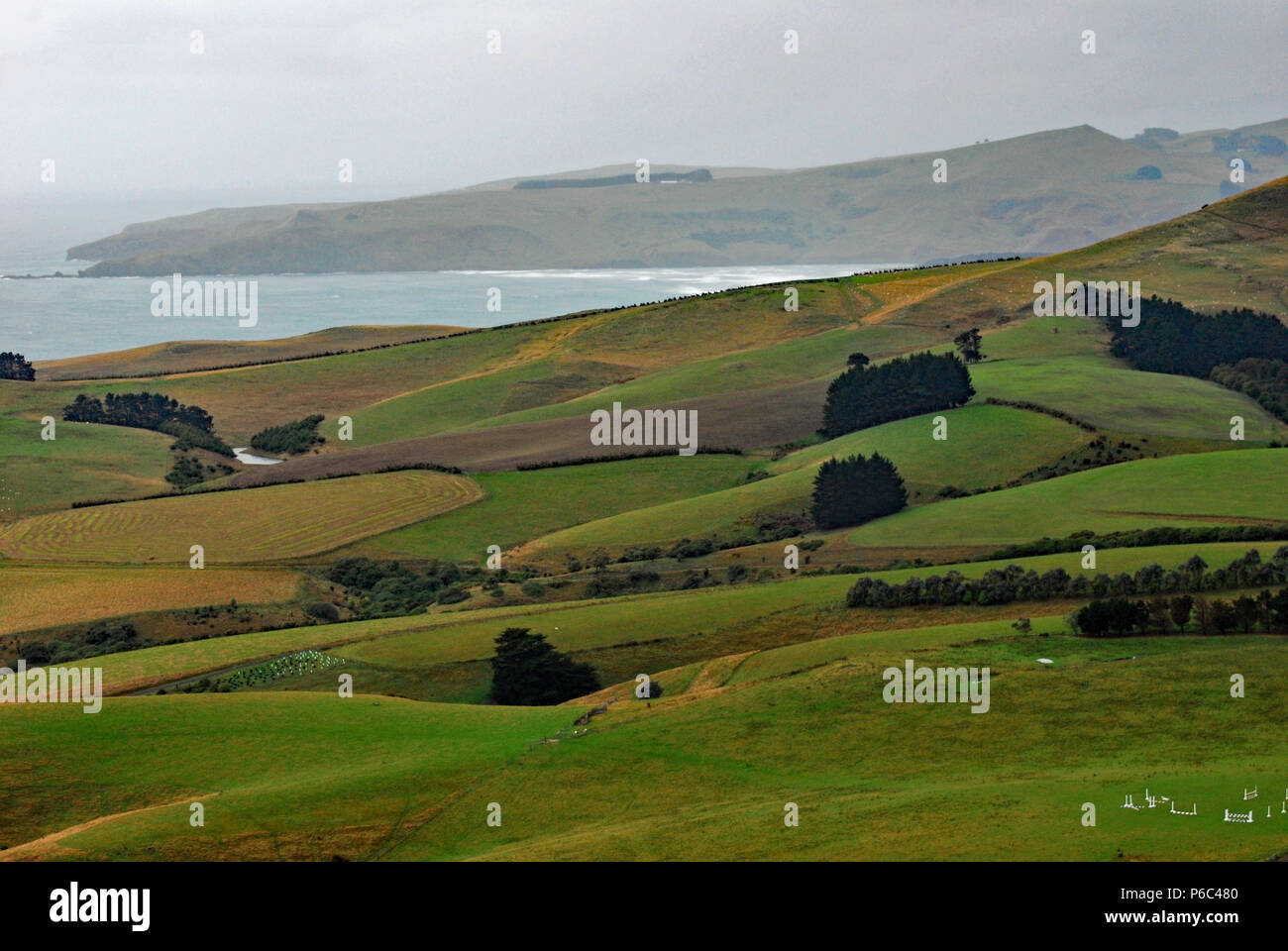 Rolling green hills new zealand hi-res stock photography and images - Alamy