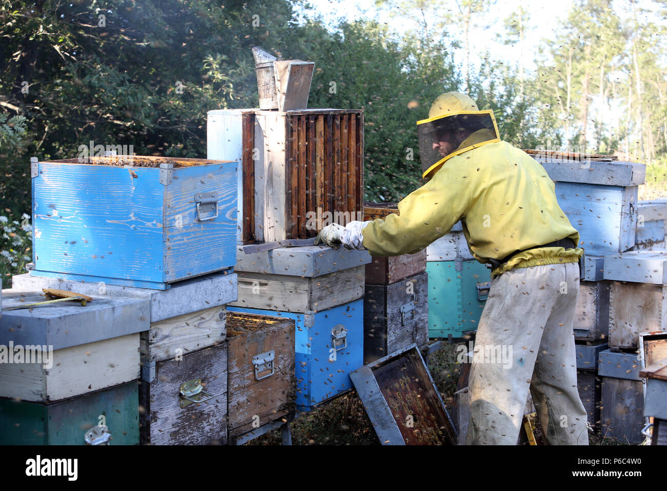 Beekeepers suit hi-res stock photography and images - Alamy