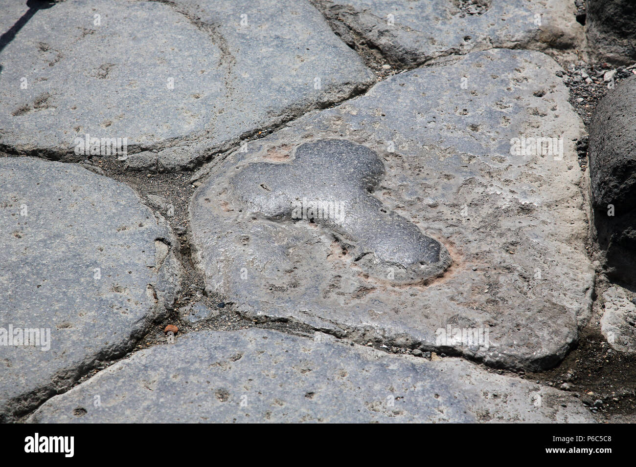 signs to the brothel in the recovered ruins of Pompeii after the ...