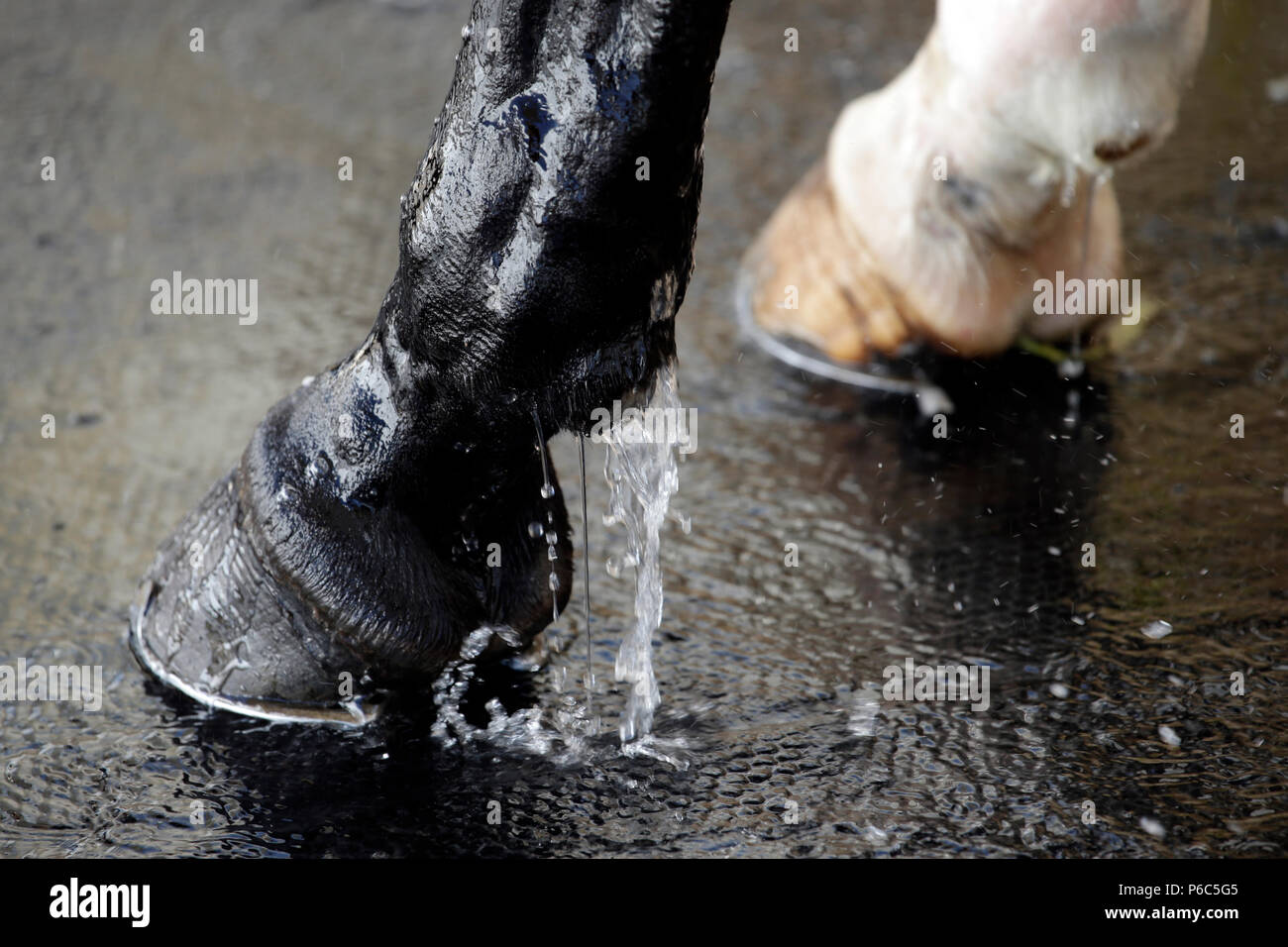 Doha, detail, water running down a fetter Stock Photo - Alamy