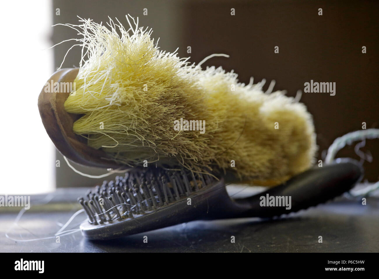 Doha, brush and root brush Stock Photo - Alamy