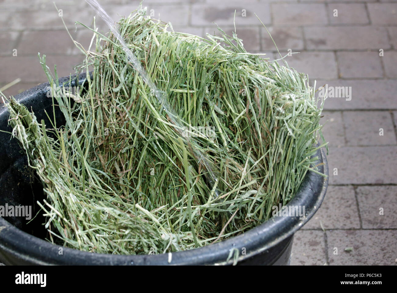 Doha, hay is being whittled Stock Photo - Alamy