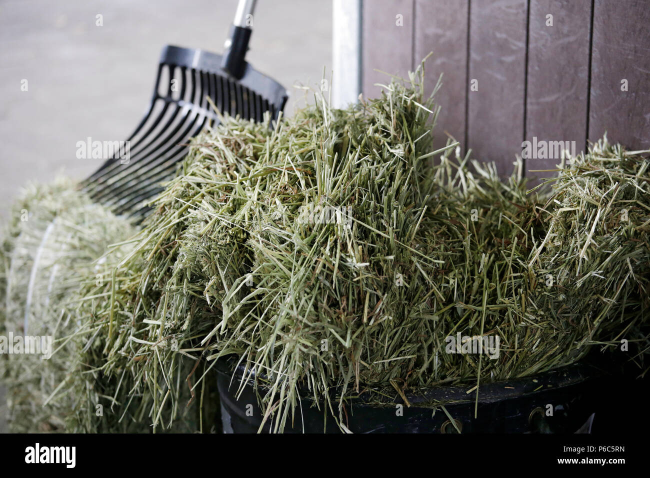 Hay forage hi-res stock photography and images - Alamy