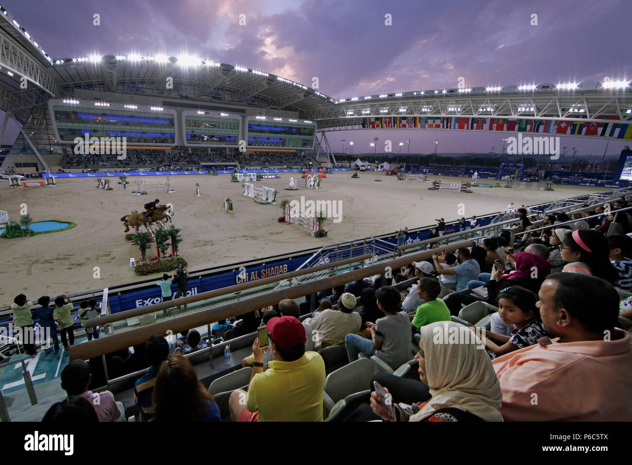 Al shaqab horse hi-res stock photography and images - Alamy
