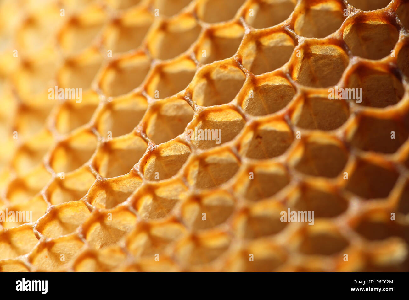 Honeycomb cells hi-res stock photography and images - Alamy