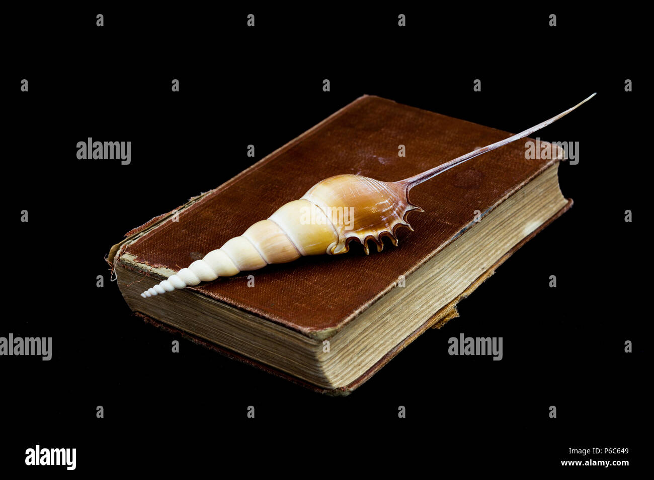 Antique, worn book and sea shell Stock Photo - Alamy