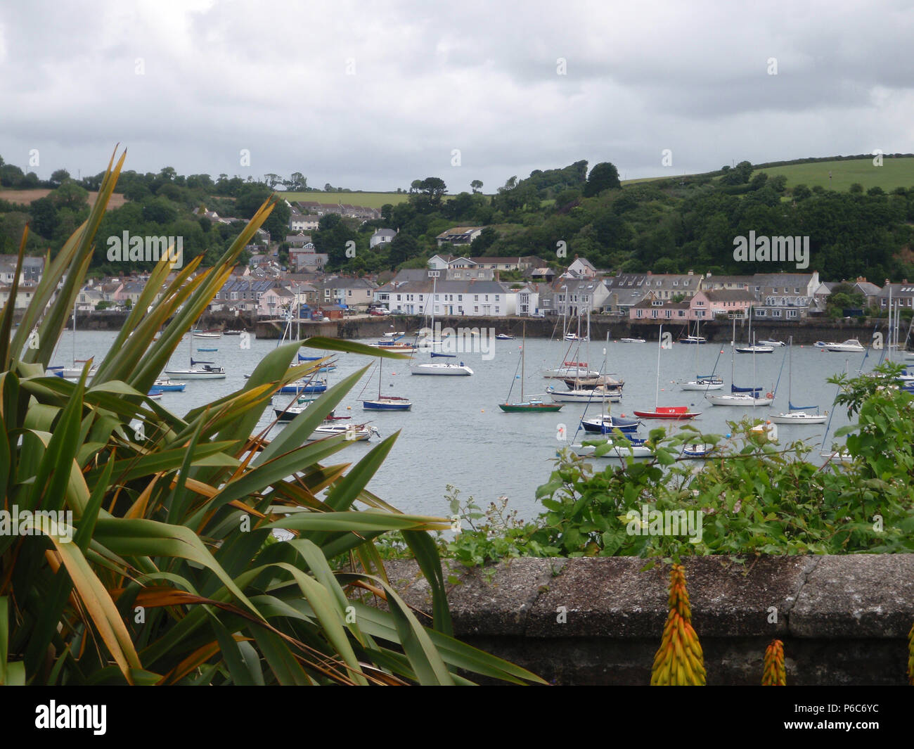 Cornwall palms hi-res stock photography and images - Alamy