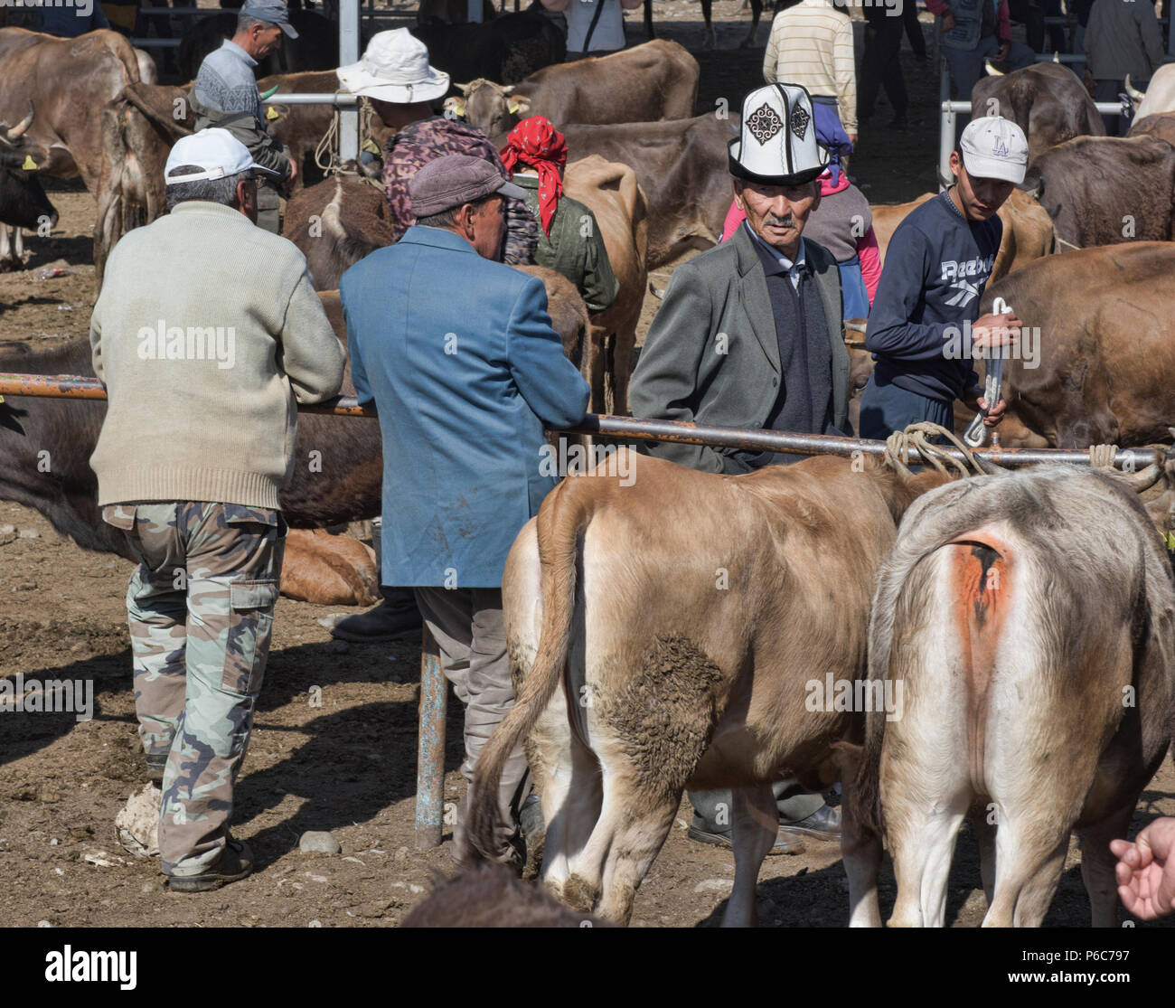 Asian livestock market hi-res stock photography and images - Alamy