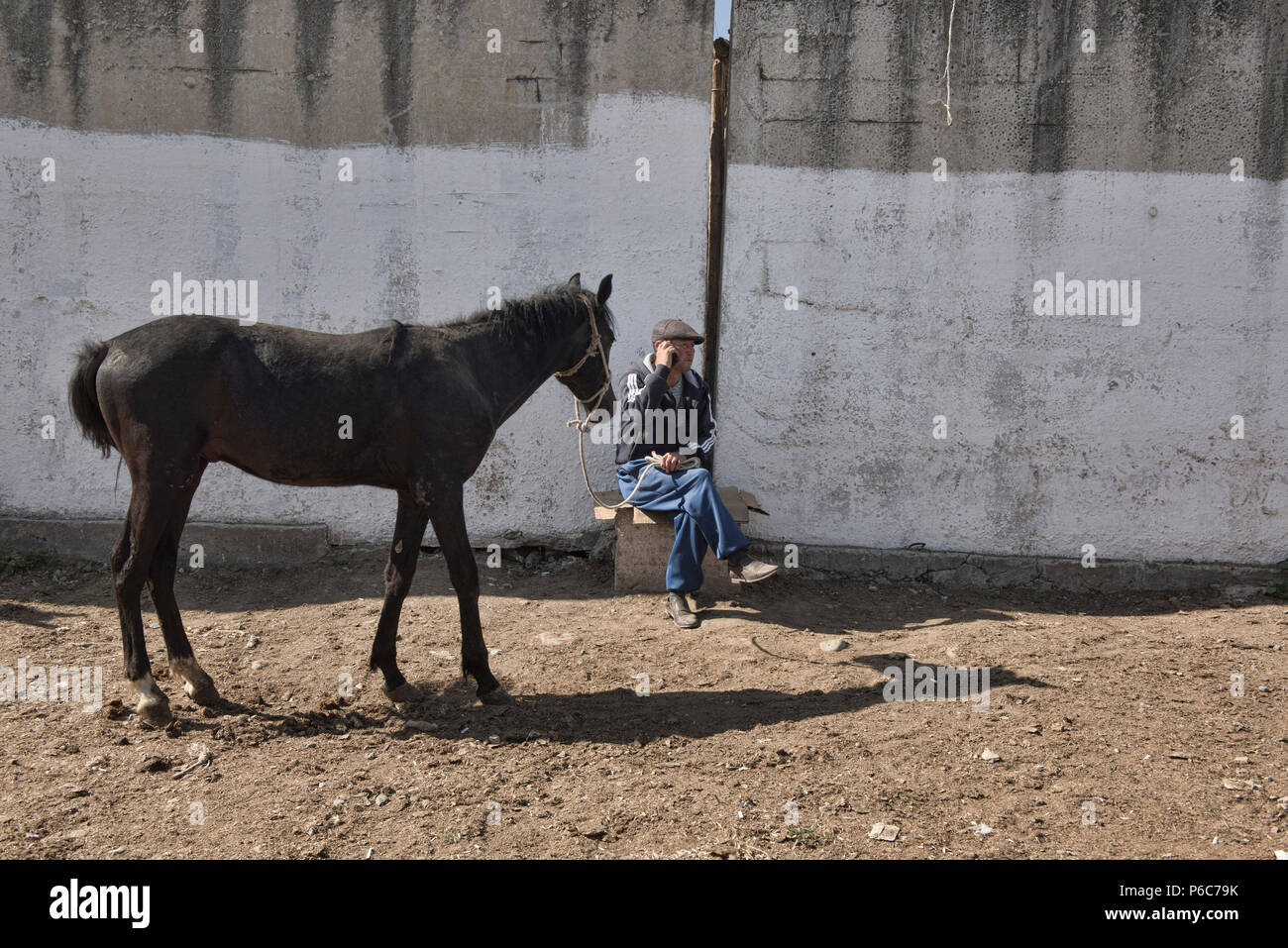 Scenes from the Sunday Animal Market, Karakol, Kyrgyzstan Stock Photo ...