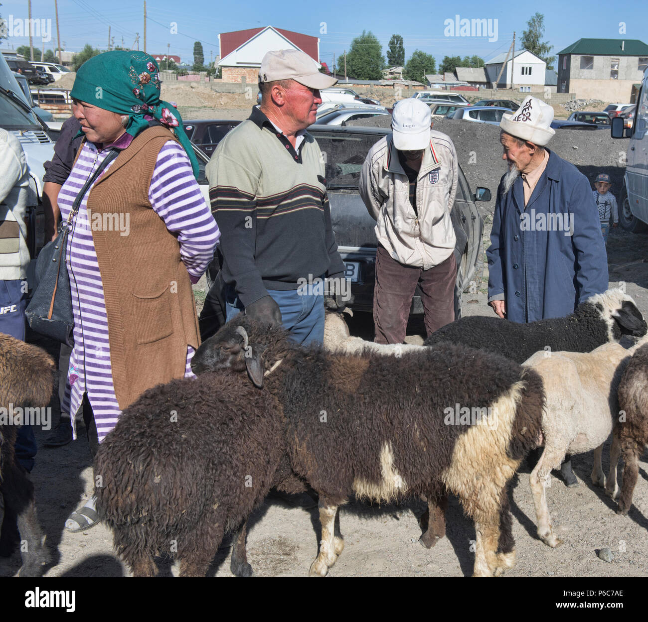 Scenes from the Sunday Animal Market, Karakol, Kyrgyzstan Stock Photo ...