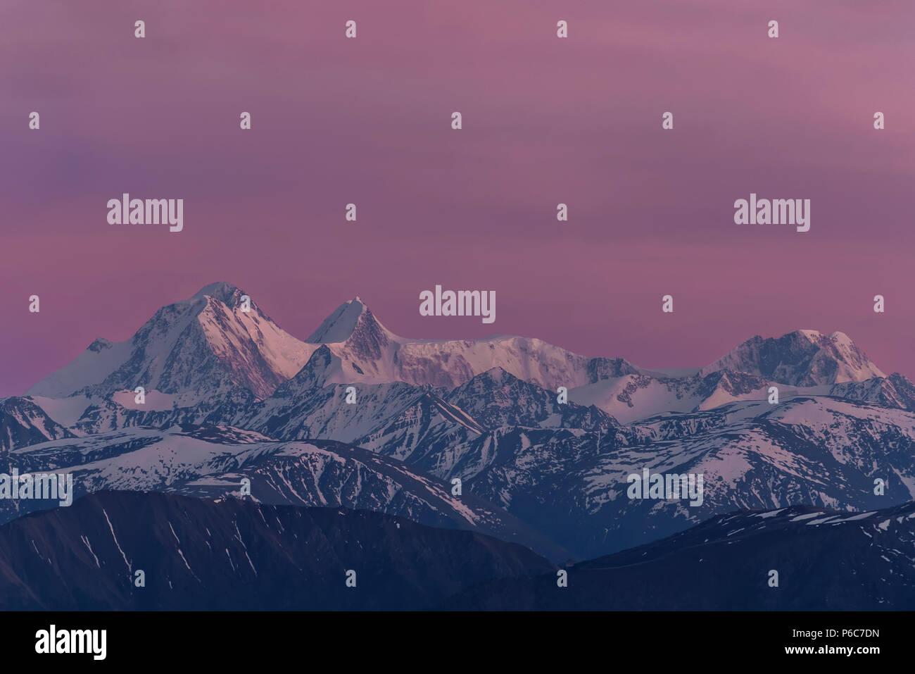 Belukha hi-res stock photography and images - Alamy