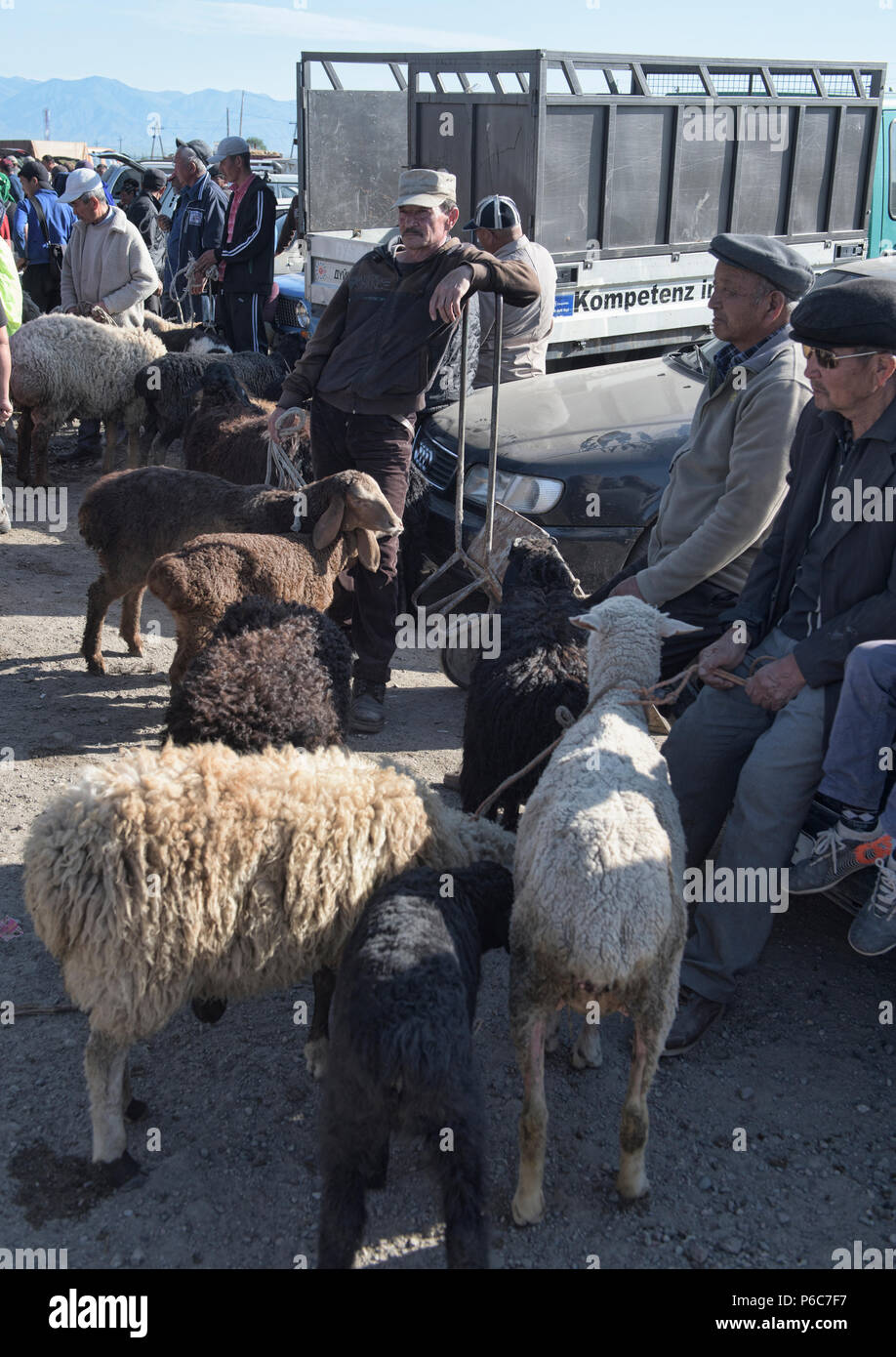 Cultural animal hi-res stock photography and images - Alamy