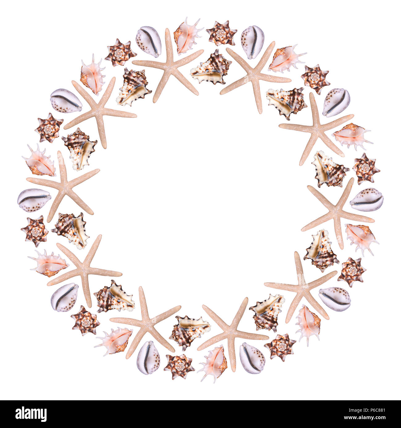 Round frame from different sea shells on a white background Stock Photo ...