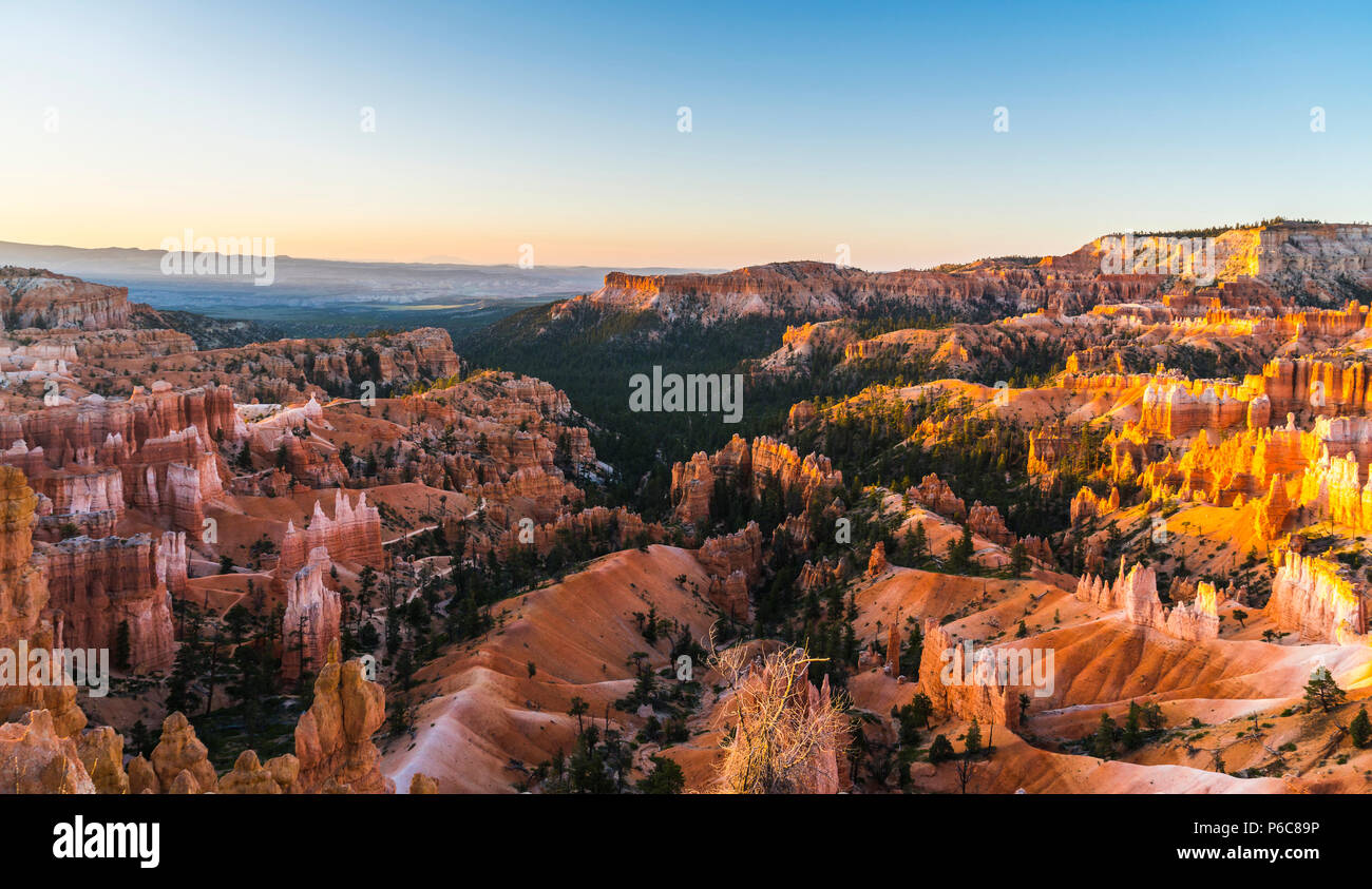 Bryce canyon national park,when sunrise,Utah,usa Stock Photo - Alamy
