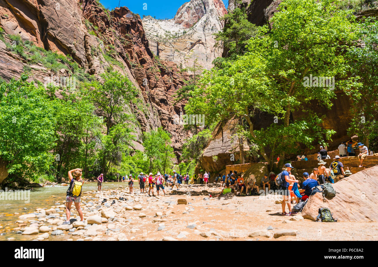 Zion The Narrow Path