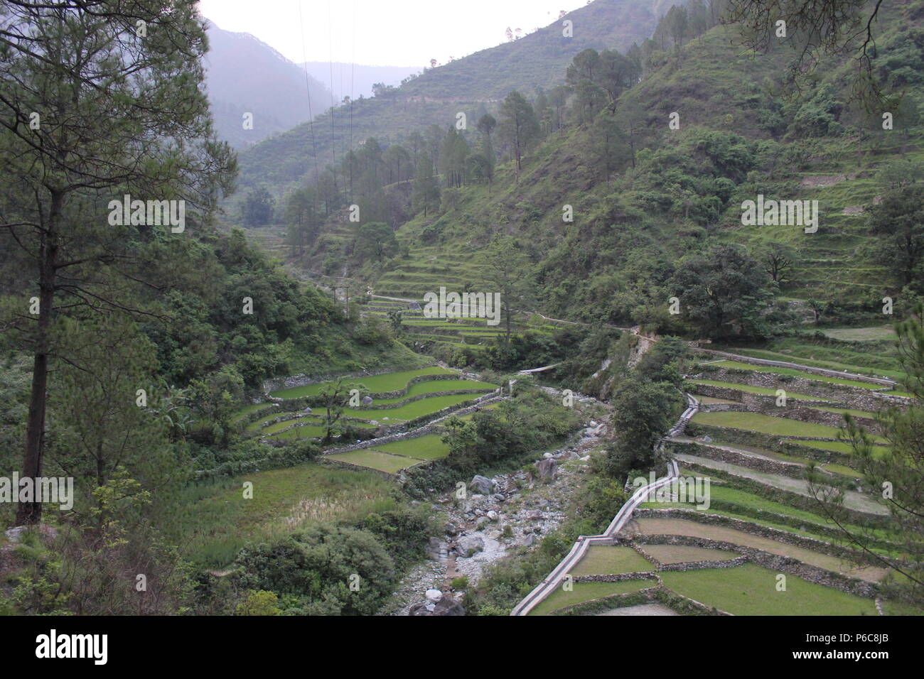 Rice field beautiful hi-res stock photography and images - Alamy