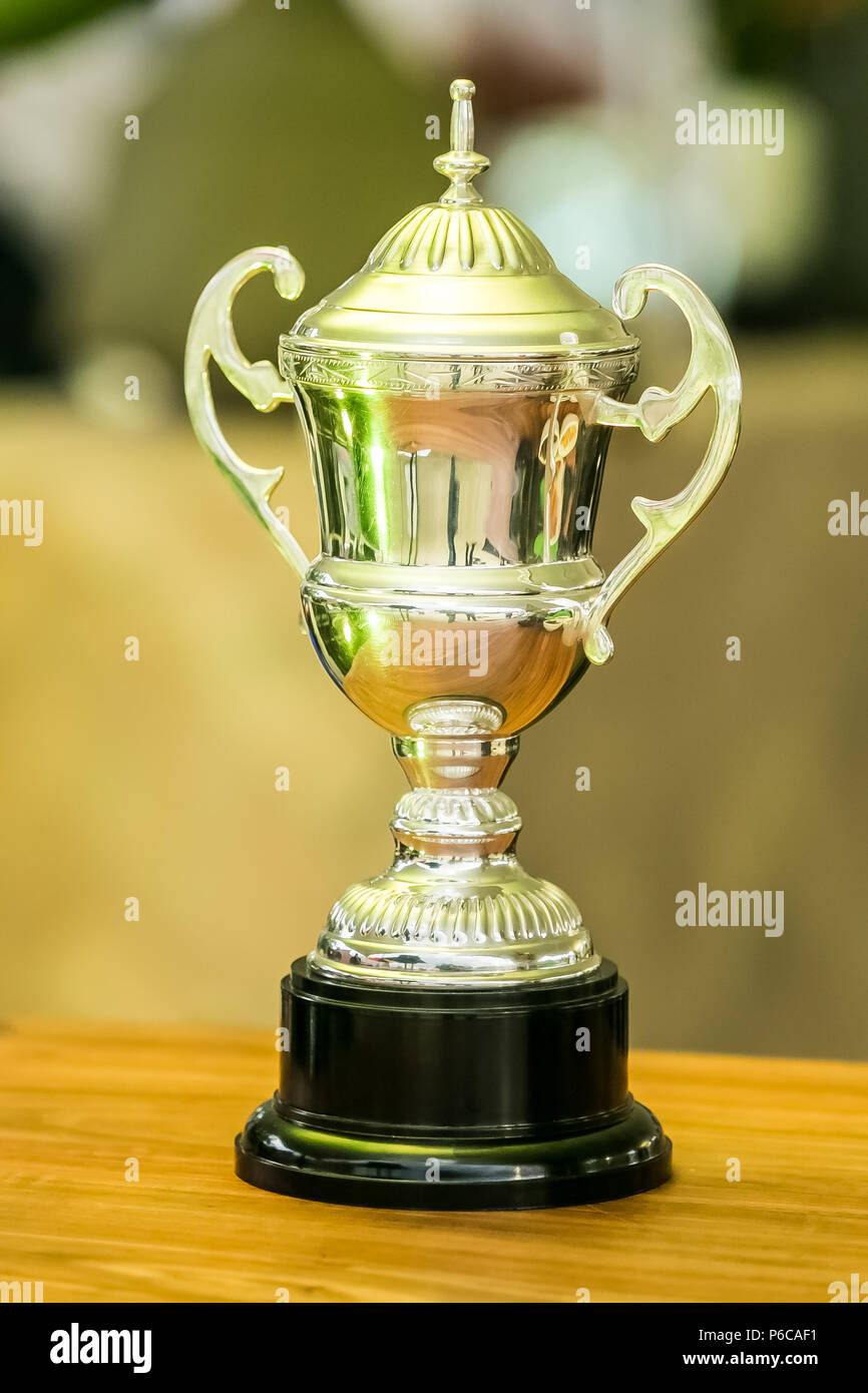 Large Sports trophy for winner at corporate gala dinner awards banquet ...