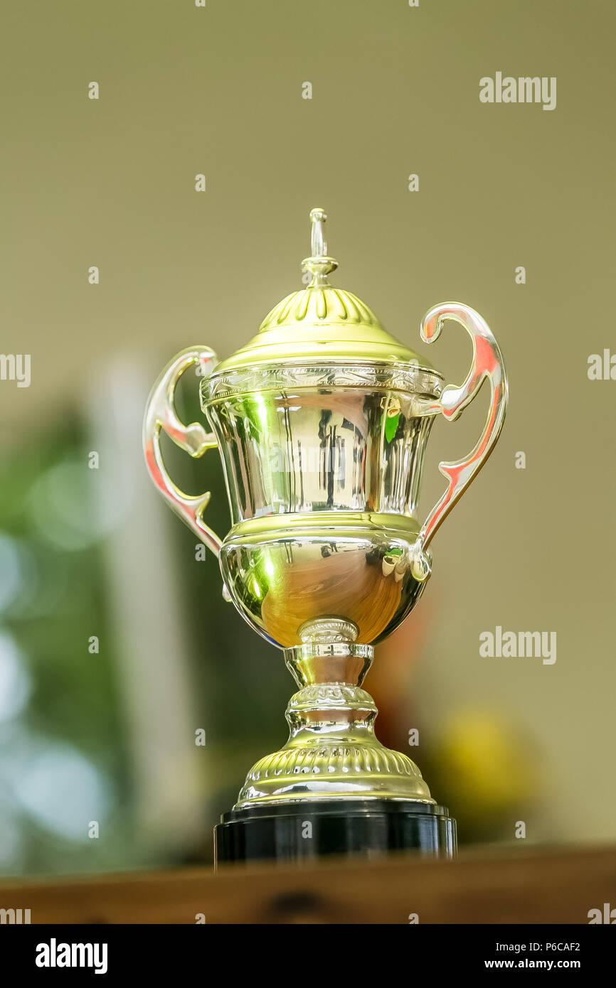 Large Sports trophy for winner at corporate gala dinner awards banquet ...