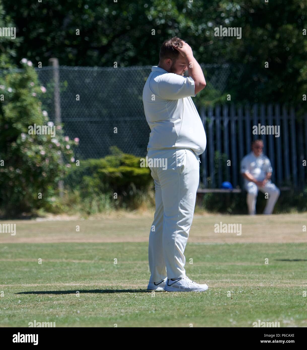 Overweight paunch hi-res stock photography and images - Alamy