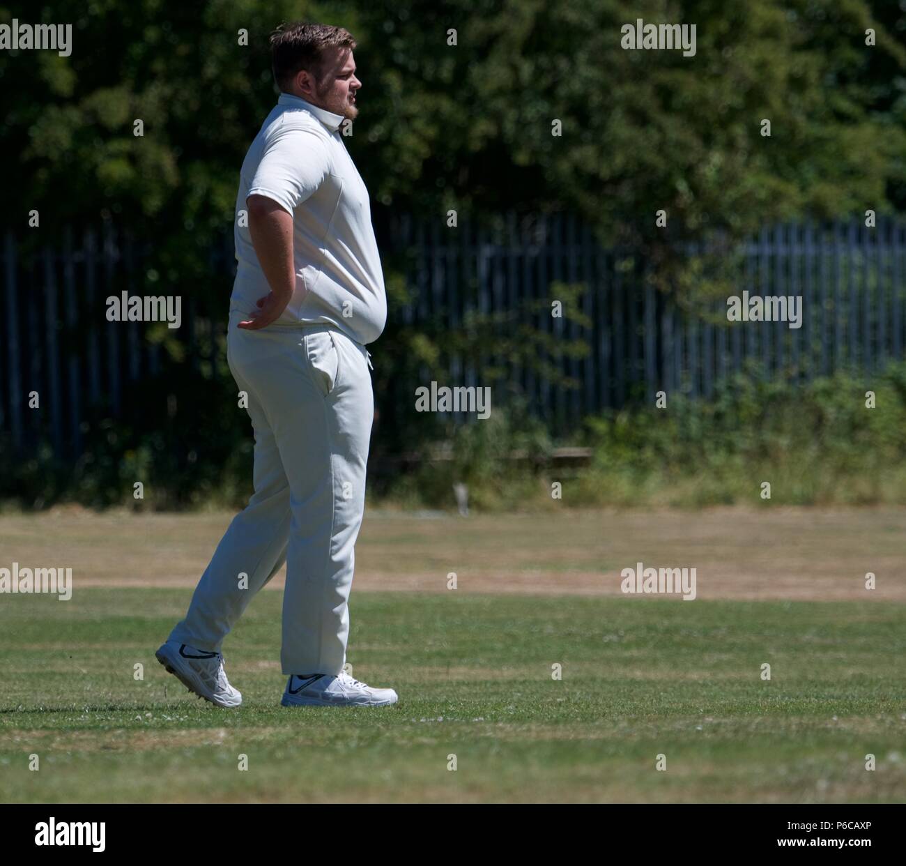 An overweight cricket player Stock Photo - Alamy