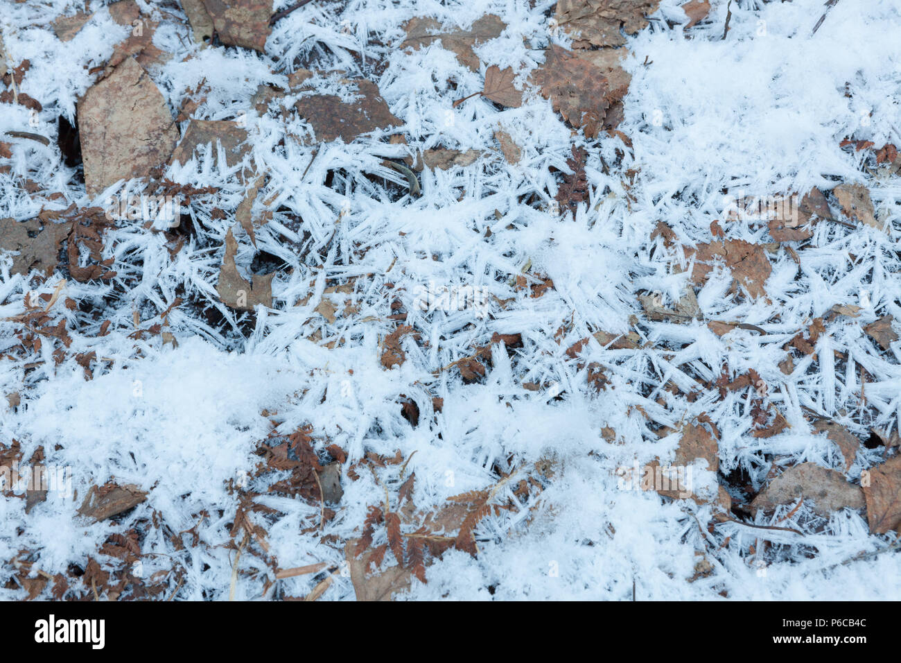Ground frost close up hi-res stock photography and images - Alamy