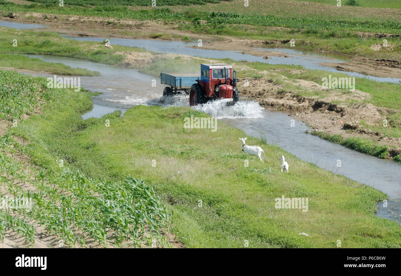 Red tractor pulling a load and creating a splash in an irrigation ...