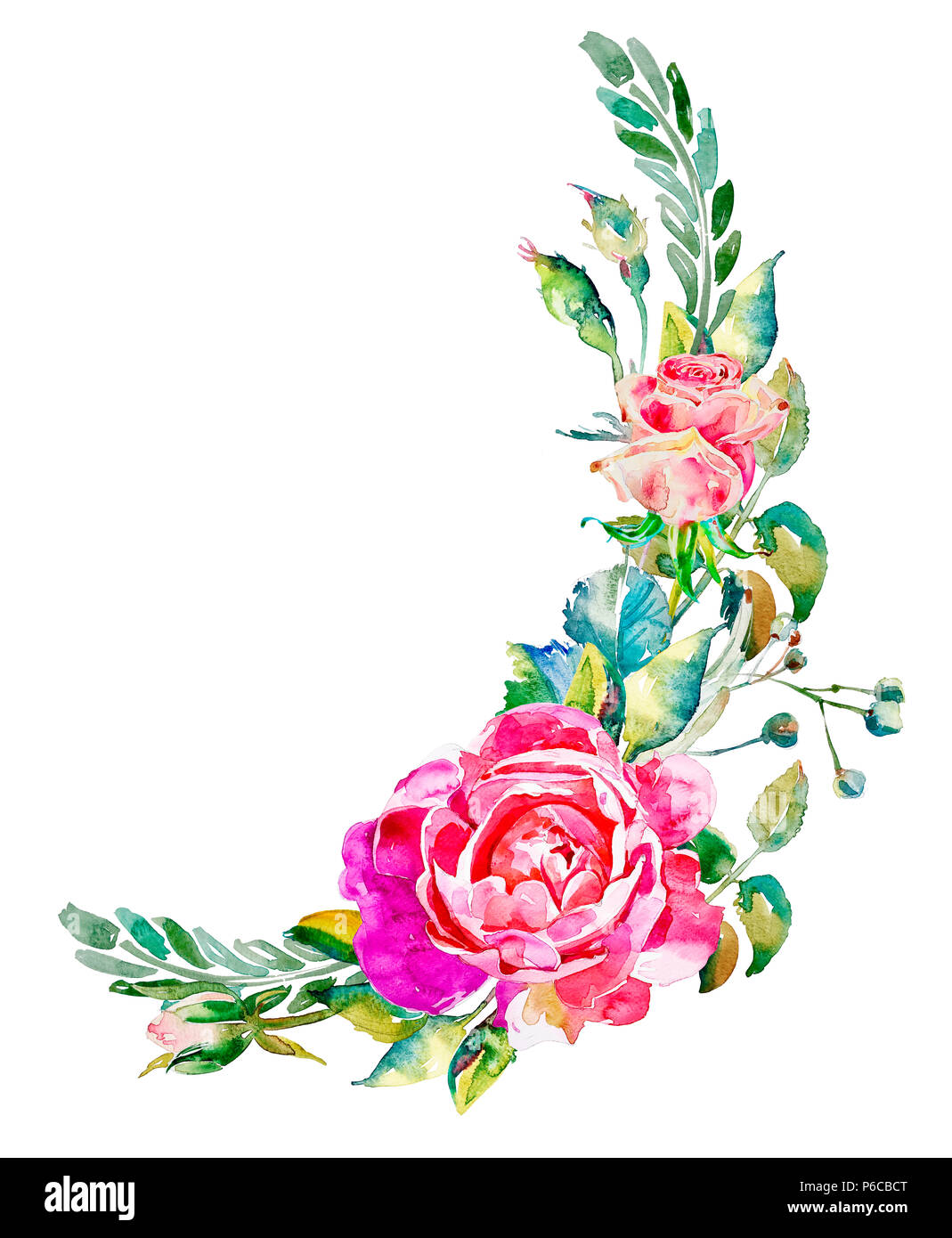 decorative hand painting of rose isolated on white background, modern ...