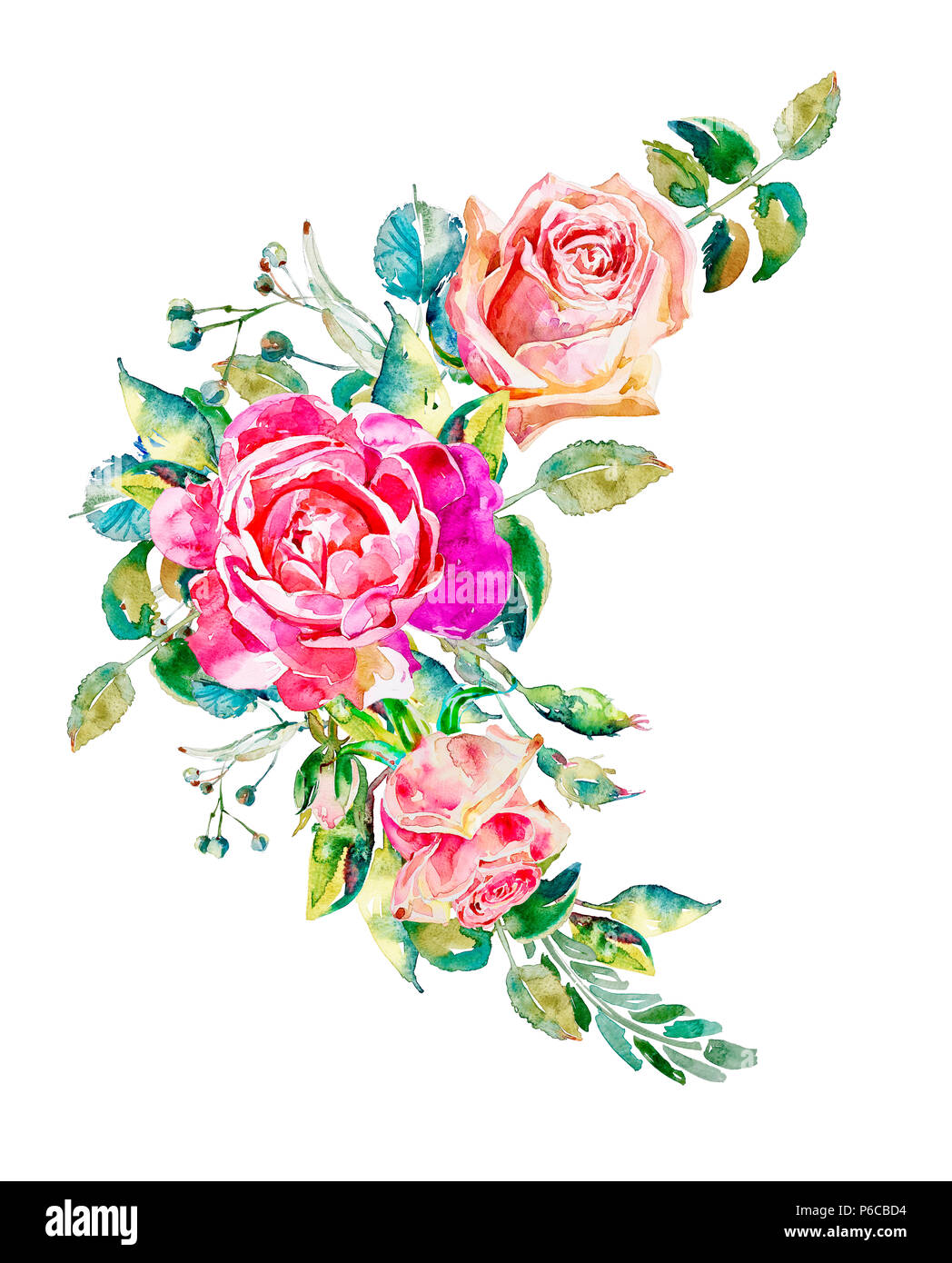 decorative hand painting of rose isolated on white background, modern ...