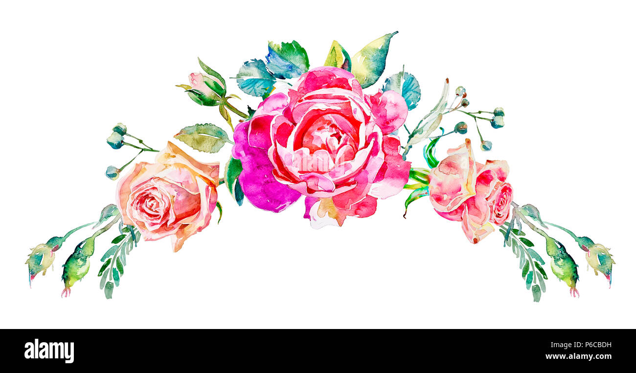 decorative hand painting of rose isolated on white background, modern ...