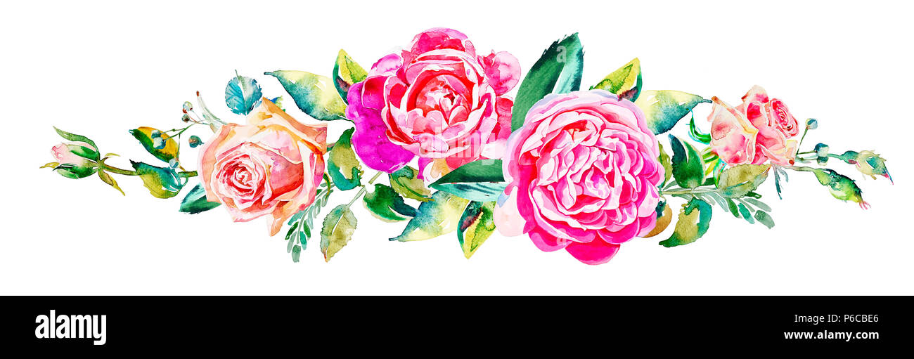 decorative hand painting of rose isolated on white background, modern ...