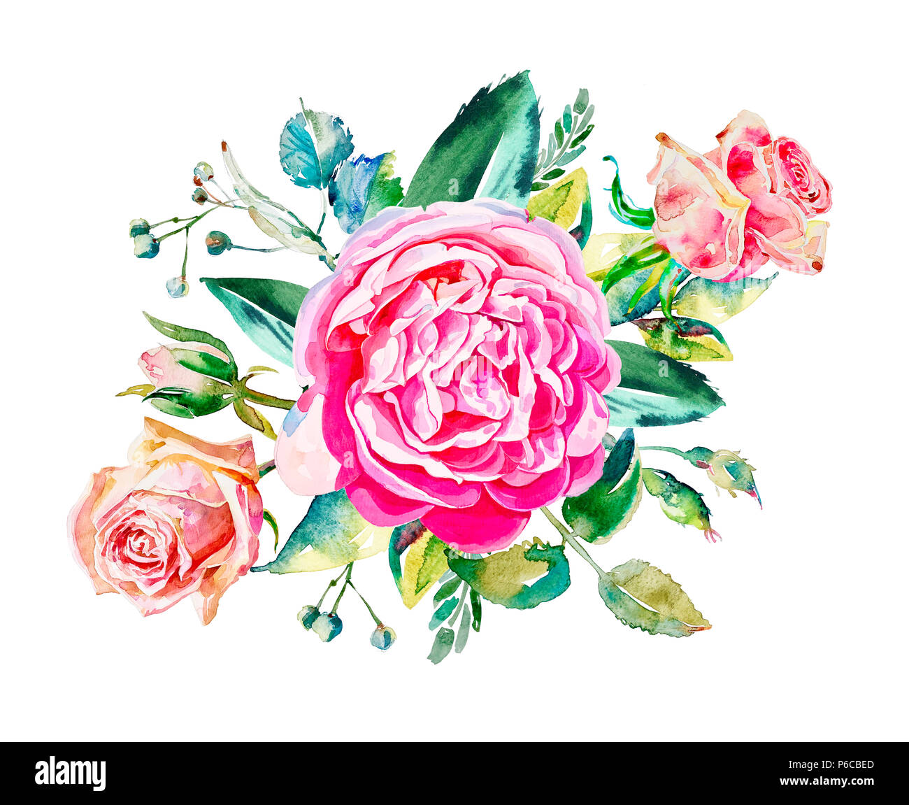 decorative hand painting of rose isolated on white background, modern ...