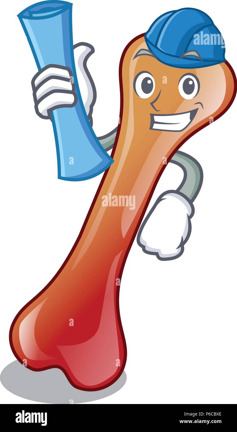 Architect bone jelly candy character cartoon Stock Vector Image & Art ...