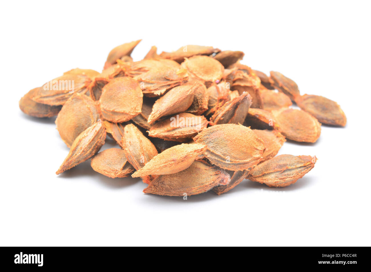 apricot pits isolated on white Stock Photo - Alamy