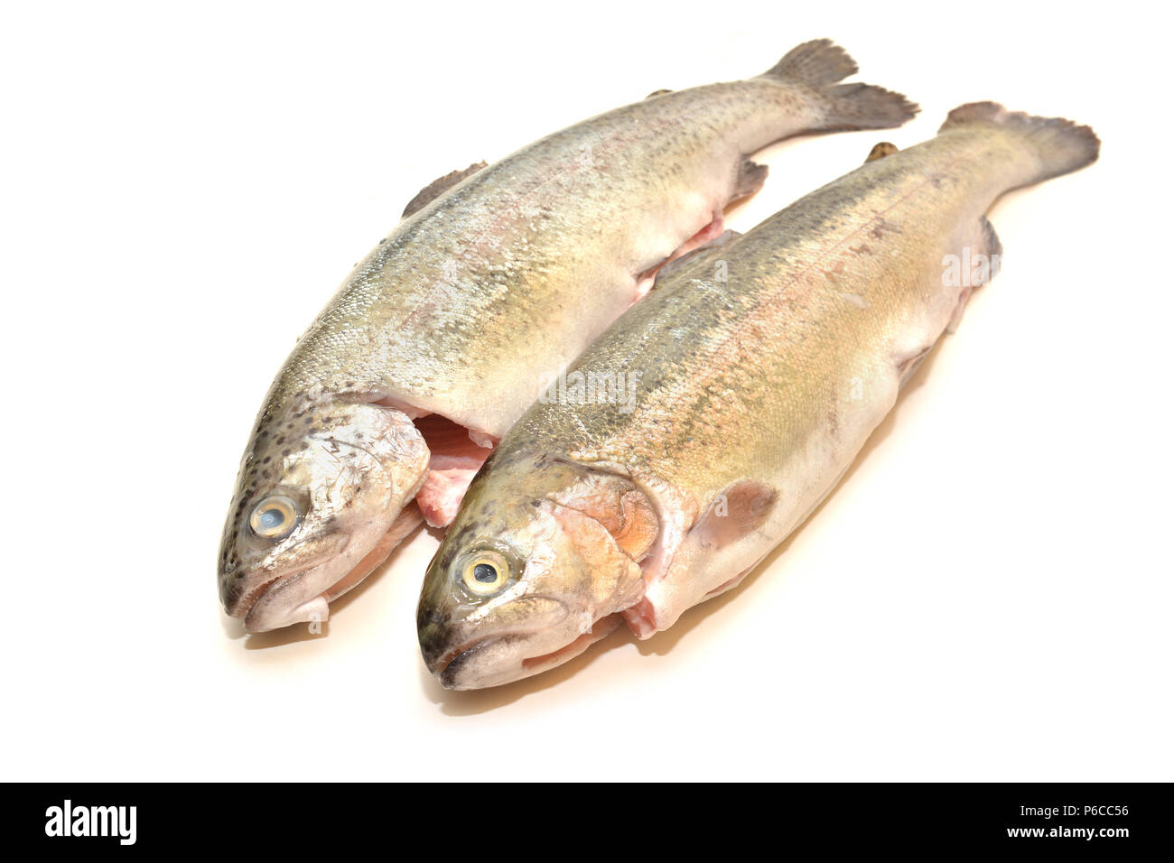 eviscerated trout fish isolated on white Stock Photo - Alamy