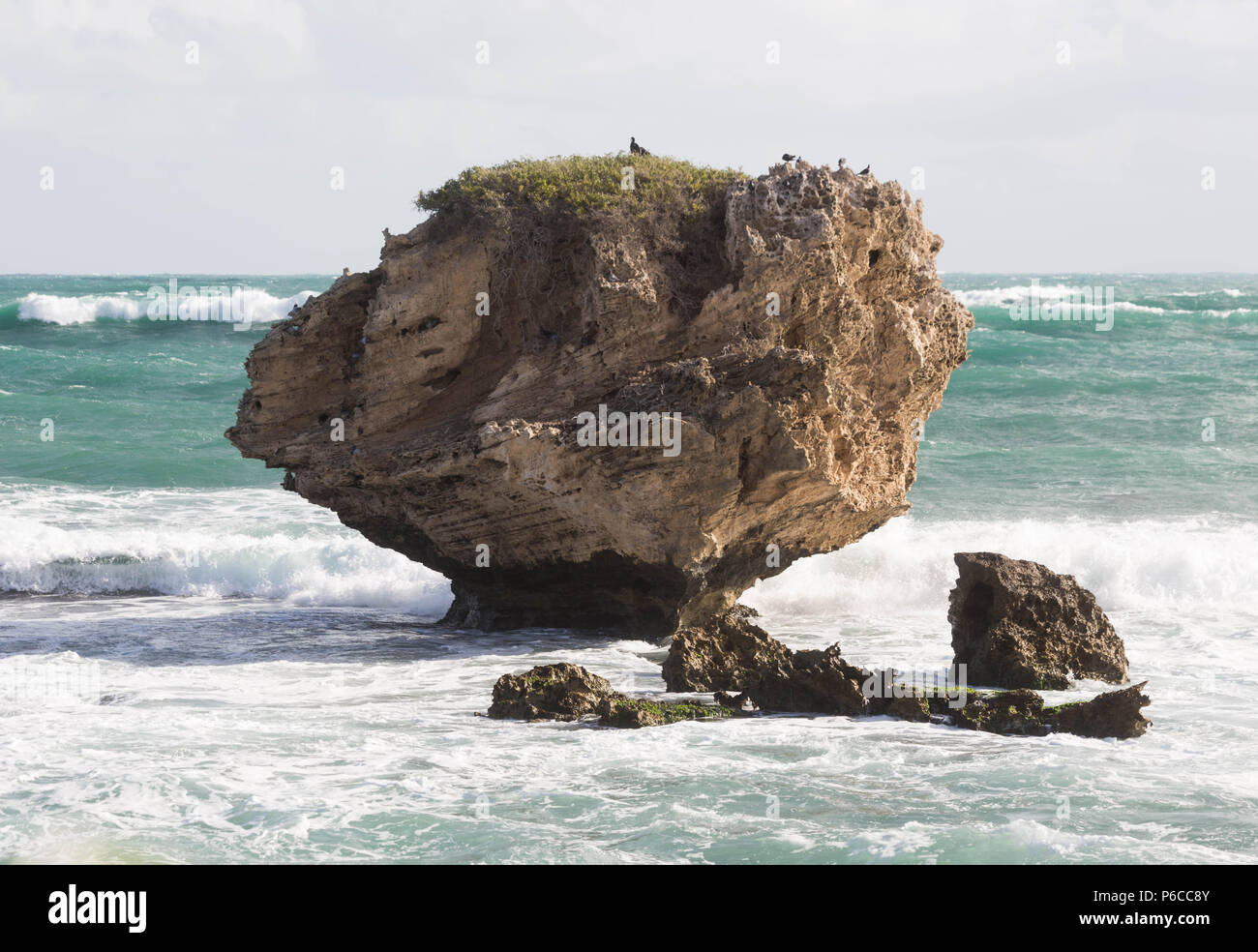Mandurah, Perth. The coastline area and its inhabitants Stock Photo - Alamy