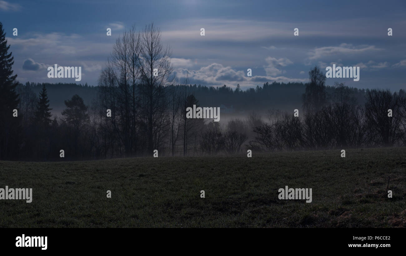 A Spring moon lit night Stock Photo - Alamy