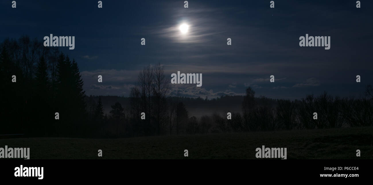 A Spring moon lit night Stock Photo - Alamy
