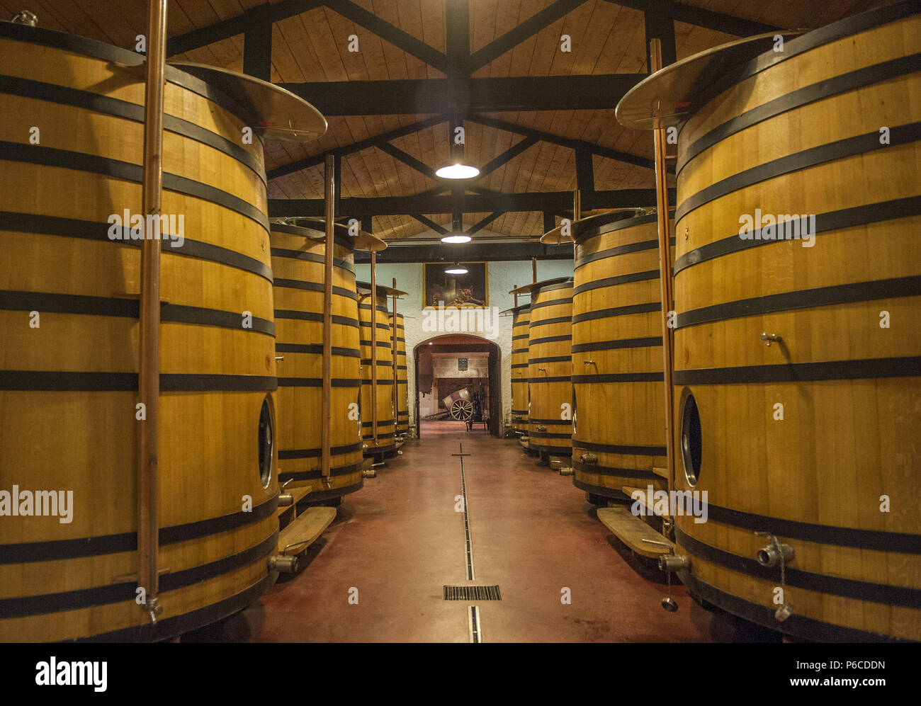 South West France, PDO wine Graves de Pessac-Leognan vineyard ...