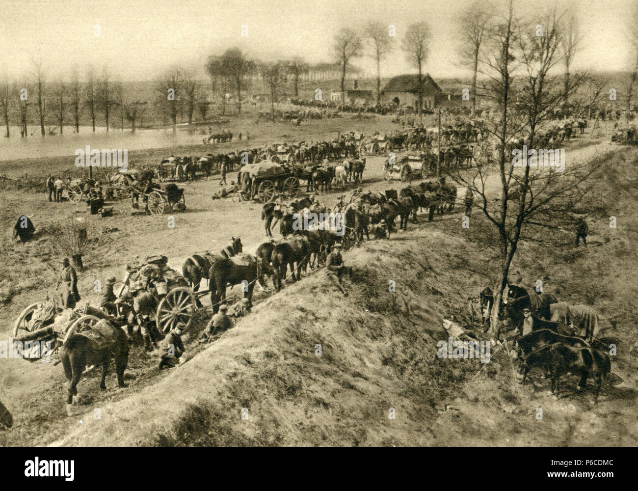 world war i, field artillery, ww1, wwi, world war one Stock Photo - Alamy