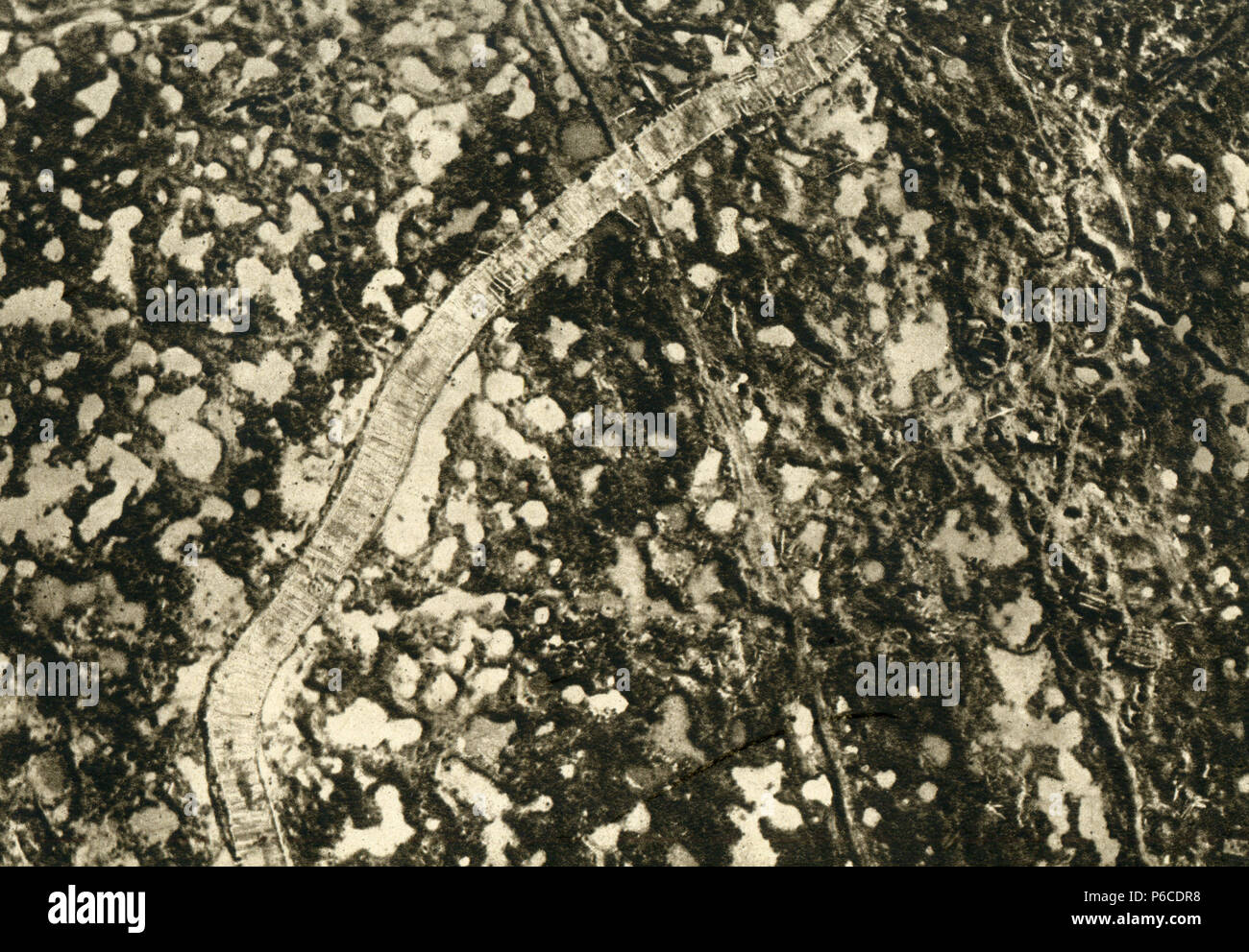 Flanders historical field hi-res stock photography and images - Alamy