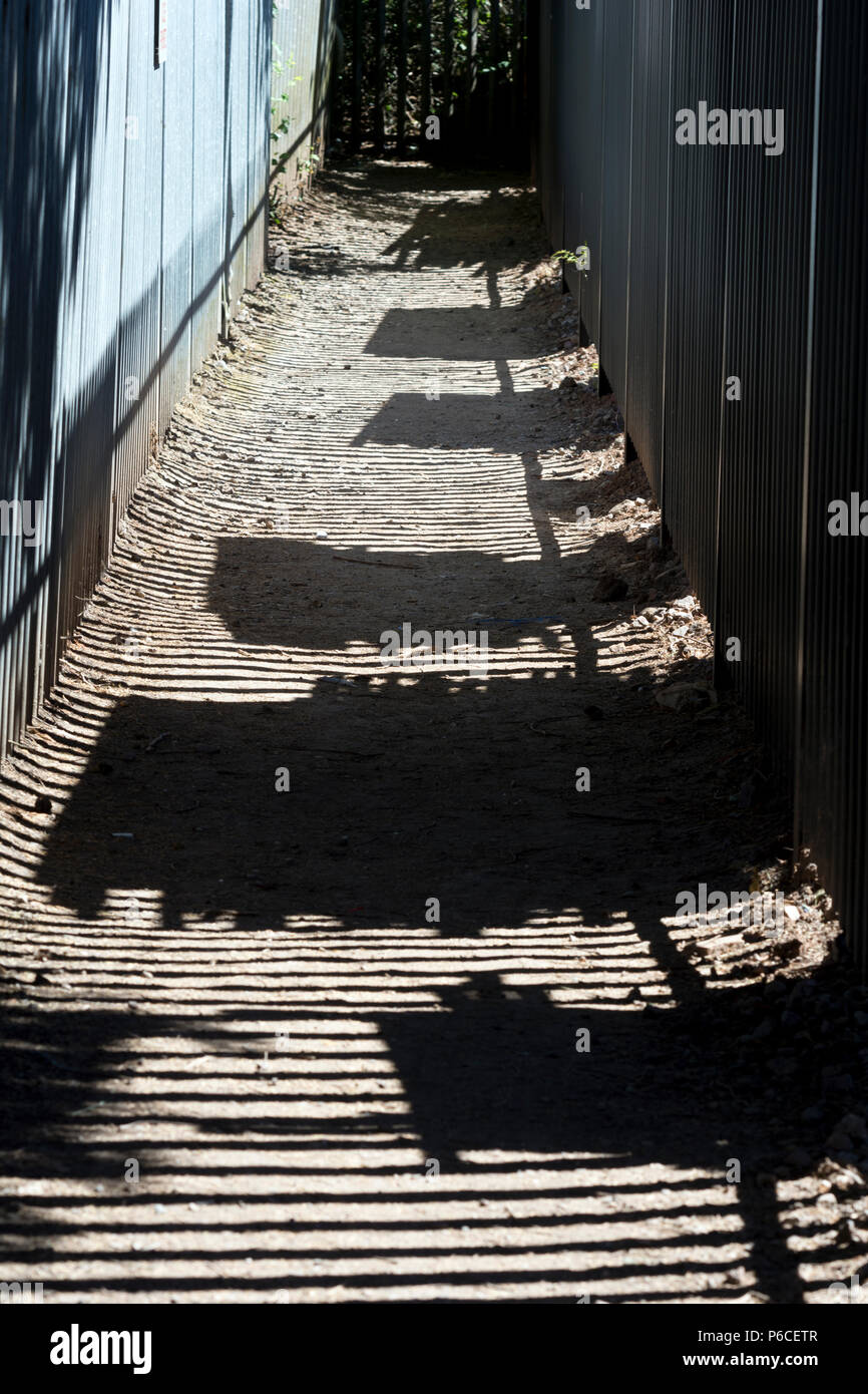 Shadows on a footpath Stock Photo - Alamy