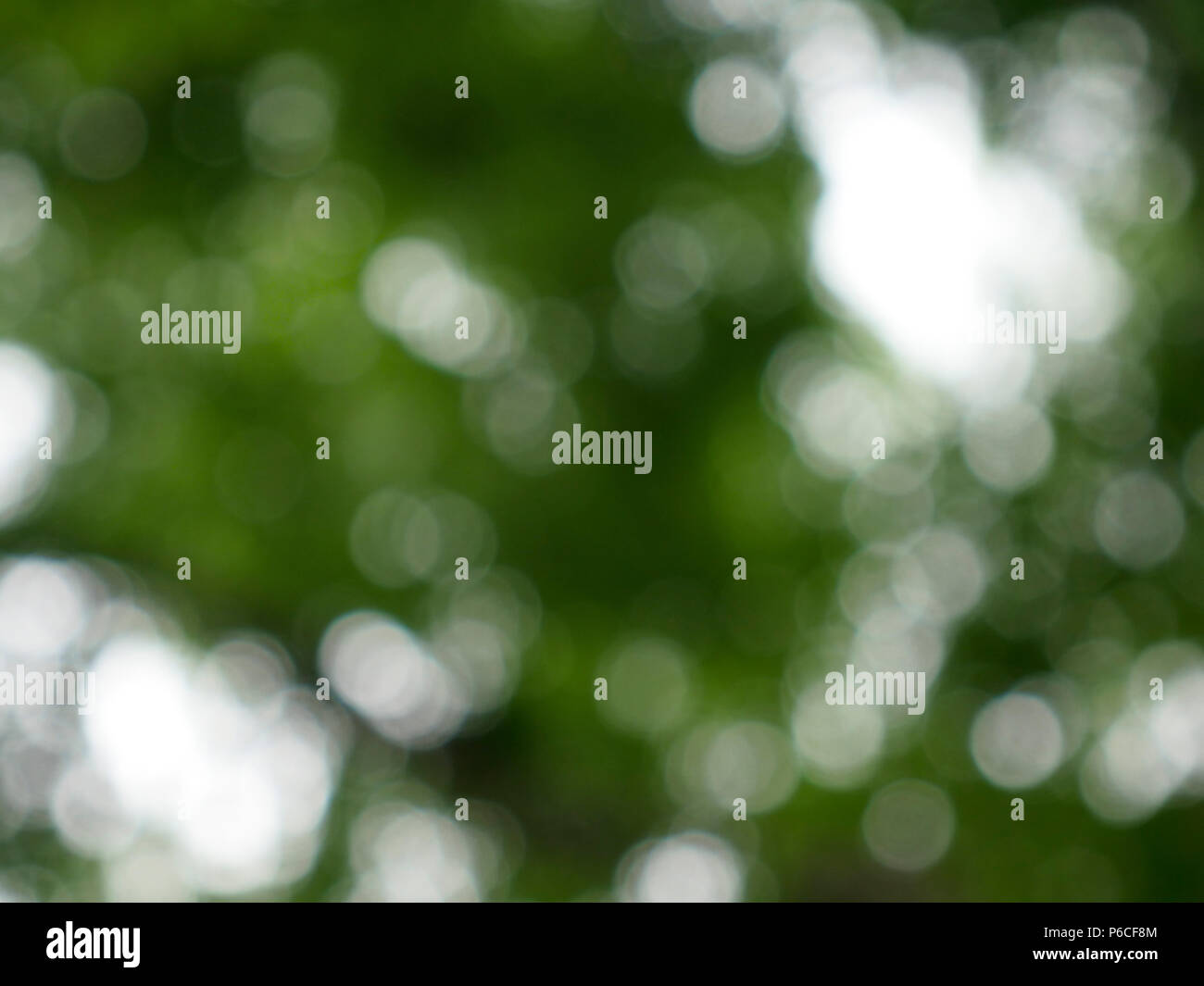 Circle of greenery hi-res stock photography and images - Alamy